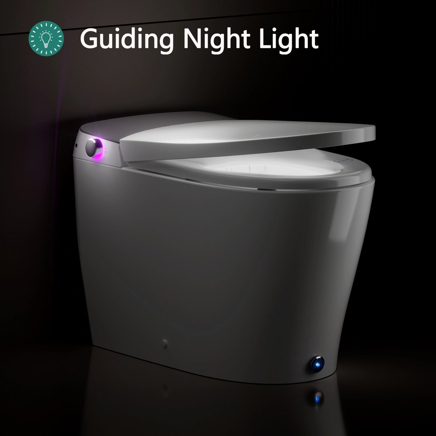 Casta Diva Smart Bidet Toilet with Concealed Tank, Auto Open/Close | C ...